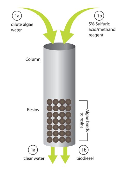 One Step Algae Harvesting Dewatering Fame Production Biodiesel Magazine