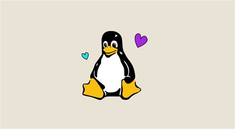 Linux Devops Filepermissions Beginners Terminal Ownership