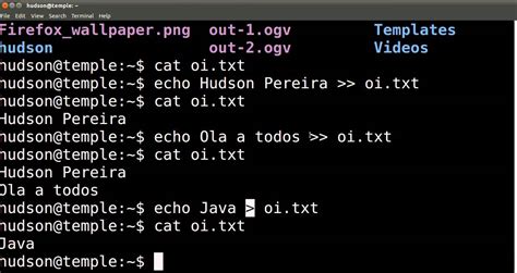 Aula 4 Comandos Linux Cat Echo Hostname Whoami Date Youtube