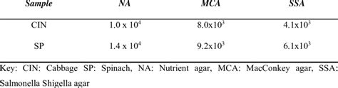 Average Total Count Of Bacteria Isolate In The Samples On Some Download Scientific Diagram