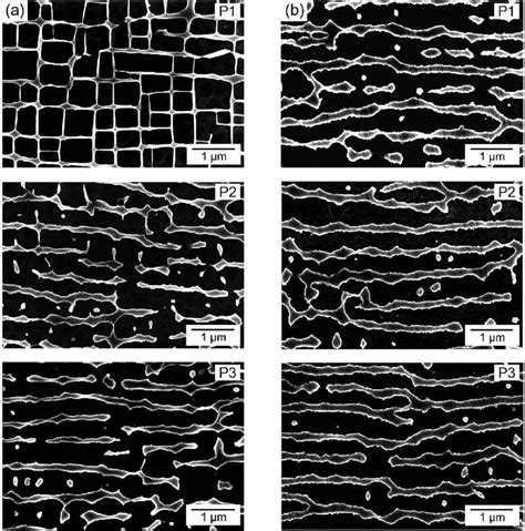 Sem Micrographs Showing The Microstructures At Different Radial Download Scientific Diagram