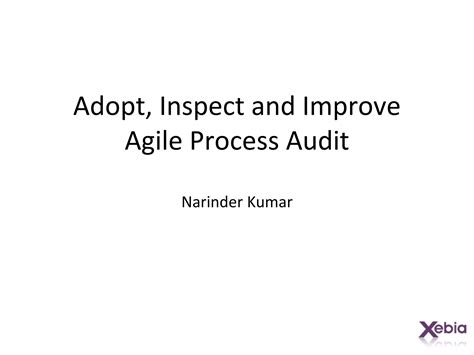 Agile Process Audit Pdf