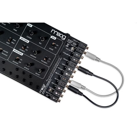 Moog Music Werkstatt 01 And Expander 2020 Gearlounge
