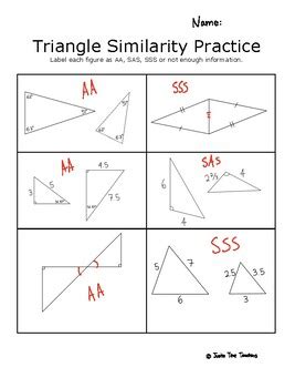 Similar Triangles Geometry Worksheet AA SAS SSS Similarity Practice