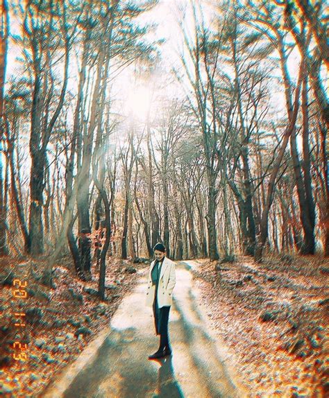 뻗은 나무의 뿌리 깊은 만큼