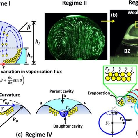 Droplet Life Cycle A Recirculation Flow Pattern Inside The Droplet