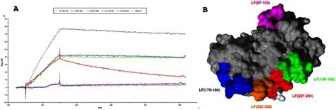 A The Biacore Experiment Was Performed On A Cm5 Chip Sensitized By Download Scientific Diagram