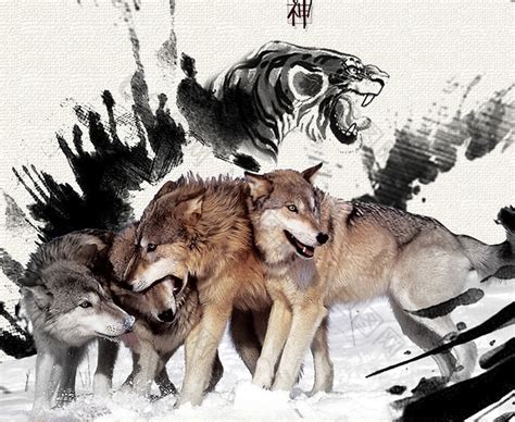 企业文化群狼团队精神展板模板 包图网