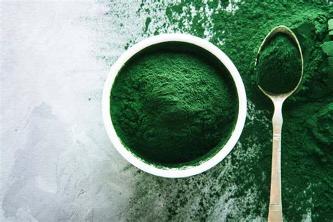Algae Protein Powder What You Need To Know About This Supplement