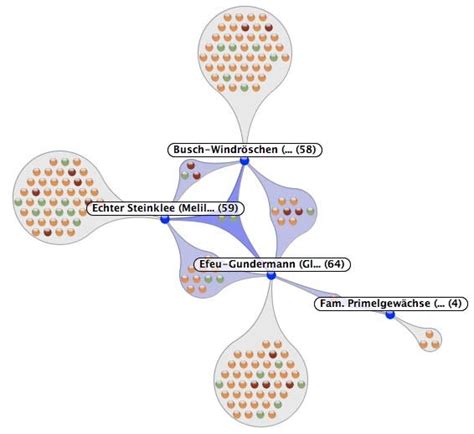 Plant Classification System