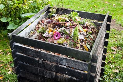 Composting 101 For Beginners Cuisine Noir