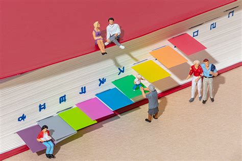 About The Department