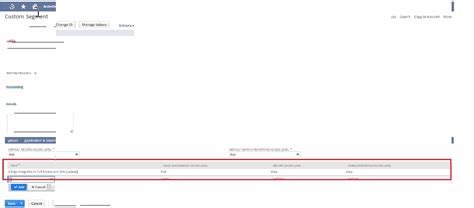 NetSuite Account Setup Instructions Visionary Corporate Card