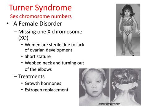 Dna And Rna Ppt Download