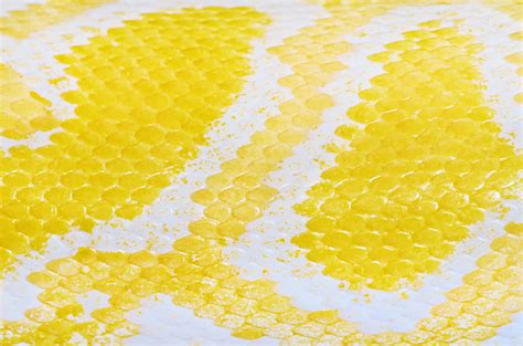Python Skin Yellow Scales Reptilian Photo Background And Picture For