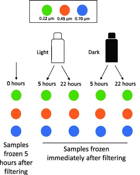 Experimental Design For Evaluating The Effects Of Filter Pore Size Download Scientific Diagram