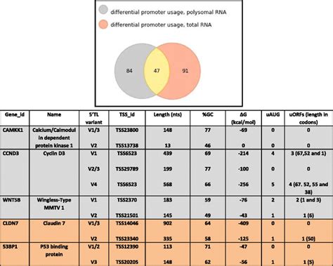 differential promoter usage within the transcriptome and translatome download scientific