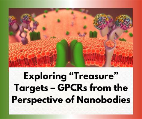 Abclonal Technology Asia Pacific On Linkedin Yurogen Abclonal Nanobodyantibodies