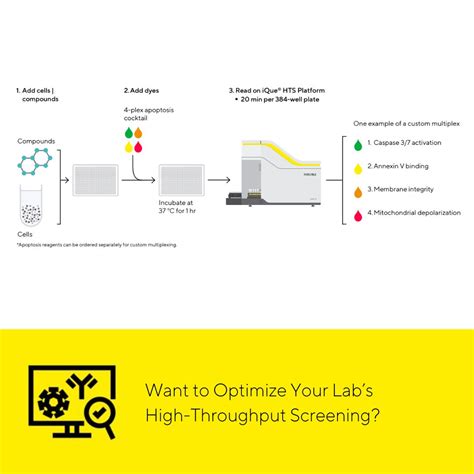 High Throughput Screening Hts By Cytometry Handbook Sartorius Ique® High Throughput High Throughput Screening Hts By Cytometry Handbook Sartorius Ique® High Throughput