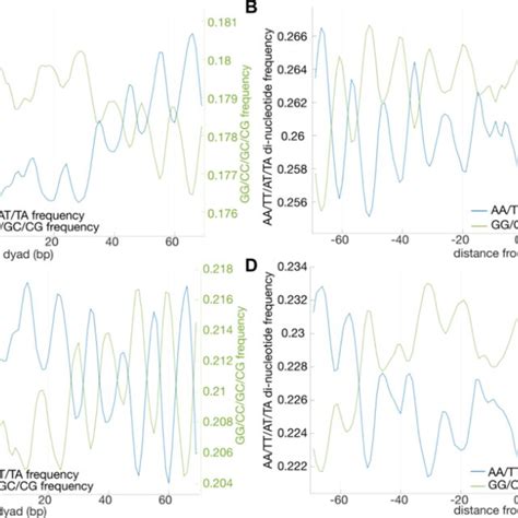 Nucleosome Organization Of Near Universal Single Copy Orthologous Gene