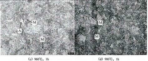 Effect Of Quenching Temperature On Microstructure And Hardness Of 2cr13 Zhy Casting
