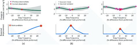 Bayesian Optimization Process After Collecting Two Data Points The