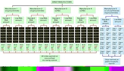 Unique Array Data Available To All Laboratory News