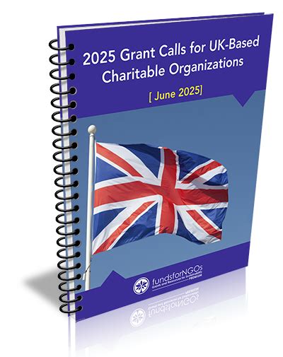 A Beginners Guide To Understanding Un Multilateral Partnerships