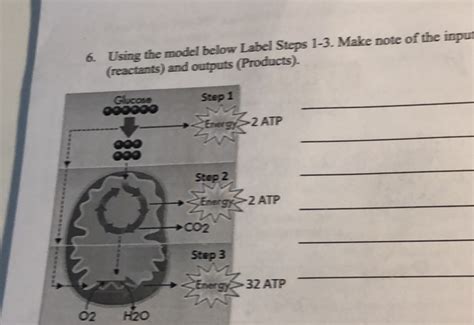6 using the model below label steps 1 3 make note of the input reactants and outputs [algebra]