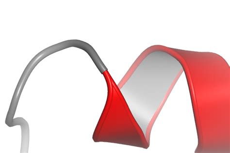 File Cartoon 20 Png PyMOLWiki