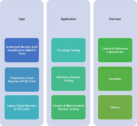 Nucleic Acid Amplification Testing Market Quintana Research And Consulting