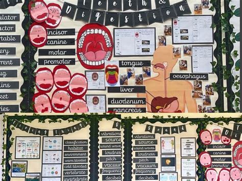 Science Display Bundle Teaching Resources