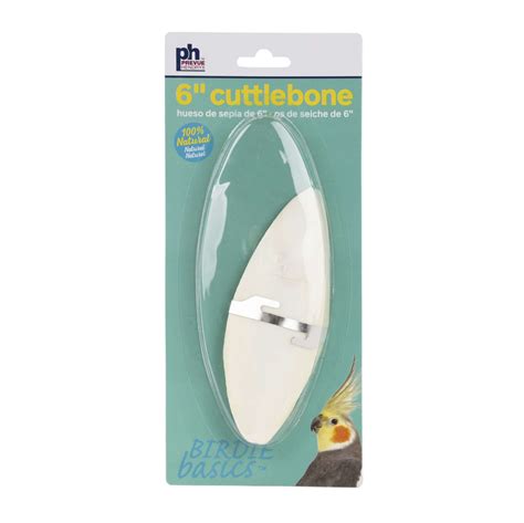 6 Inch Cuttlebone 1pc 1144 Prevue Pet Products