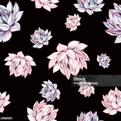 다육 식물 조약돌 돌 다채로운 원활한 패턴 프로젝트 결혼식 인사말 카드 포장 벽지 패턴 질감 덮개에 적합합니다 0명에 대한 스톡