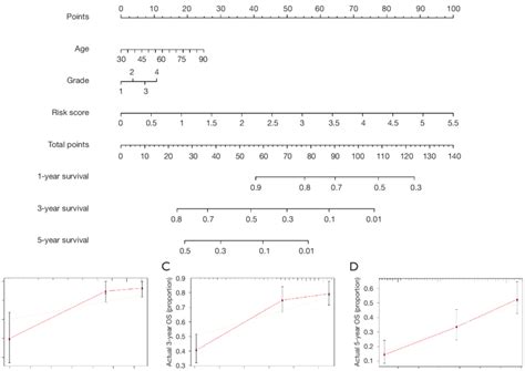 nomogram development and evaluation a a nomogram for predicting os