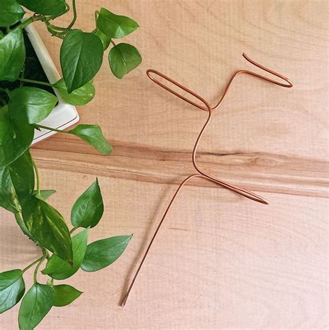 The Plant Is Next To An Open Laptop Computer On A Wooden Table With Metal Wire