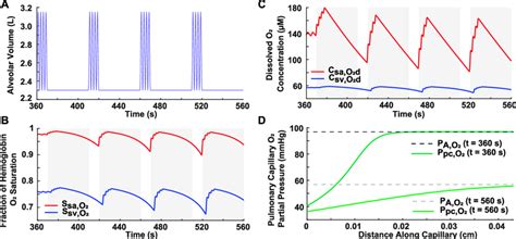 Analysis Of Simulated Case Of Severe OSA A Input Breathing Pattern Download Scientific