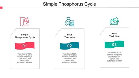 Simple Phosphorus Cycle Ppt Powerpoint Presentation Outline Visual Aids Cpb Presentation