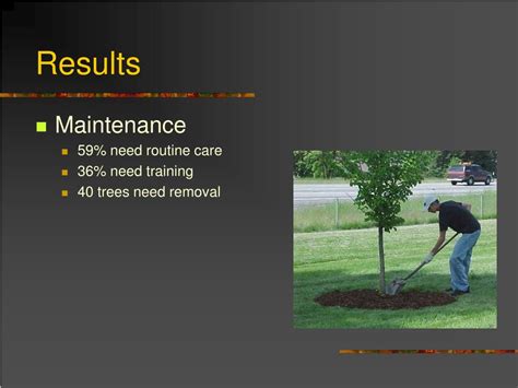 Ppt Street Tree Inventory Report Powerpoint Presentation Free
