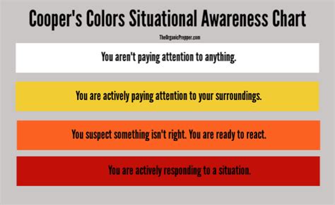 Secrets Of A Counterintelligence Agent Situational Awareness