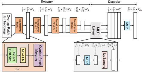Medical Image Segmentation Using HuggingFace PyTorch 57 OFF