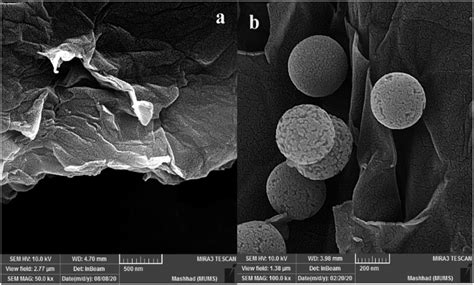 FE SEM Images Of GO A F SiO2 GO Co B Download Scientific Diagram