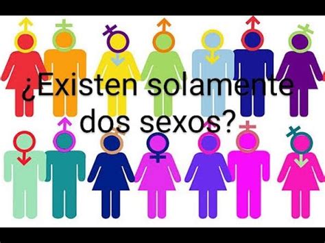 Cuántos sexos existen Debate YouTube
