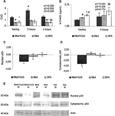 Fasting And Postprandial Plasma Levels Of CoQ A And 8 OHdG B Download Scientific
