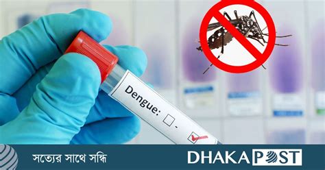 ডেঙ্গু কেড়ে নিল আরো ৮ প্রাণ মৃত্যু ছাড়াল ৪ শ