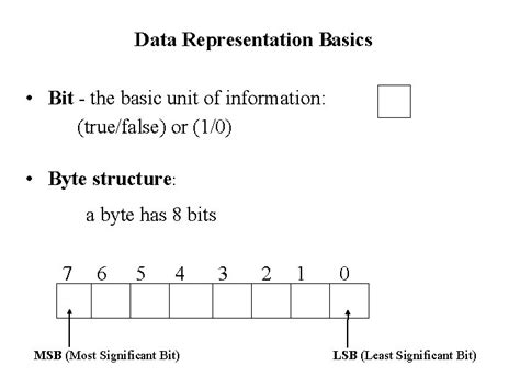 computer architecture and assembly language data representation basics