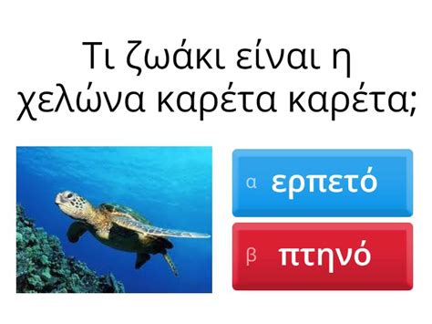 ΜΑΘΑΙΝΩ ΓΙΑ ΤΗΝ ΧΕΛΩΝΑ ΚΑΡΕΤΑ ΚΑΡΕΤΑ Quiz