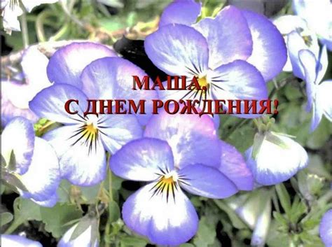 Картинка маша с днем рождения поздравления 61 фото