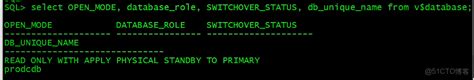 Oracle 一主两从 主从切换（switchover）步骤记录51cto博客oracle Dg主备切换