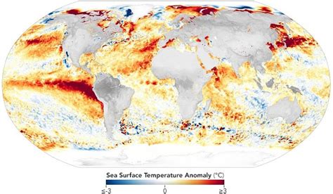 The Oceans Rising Fever Global Sea Surface Temperatures Hit Record Levels